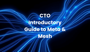 CTO Introductory Guide to Meta & Mesh